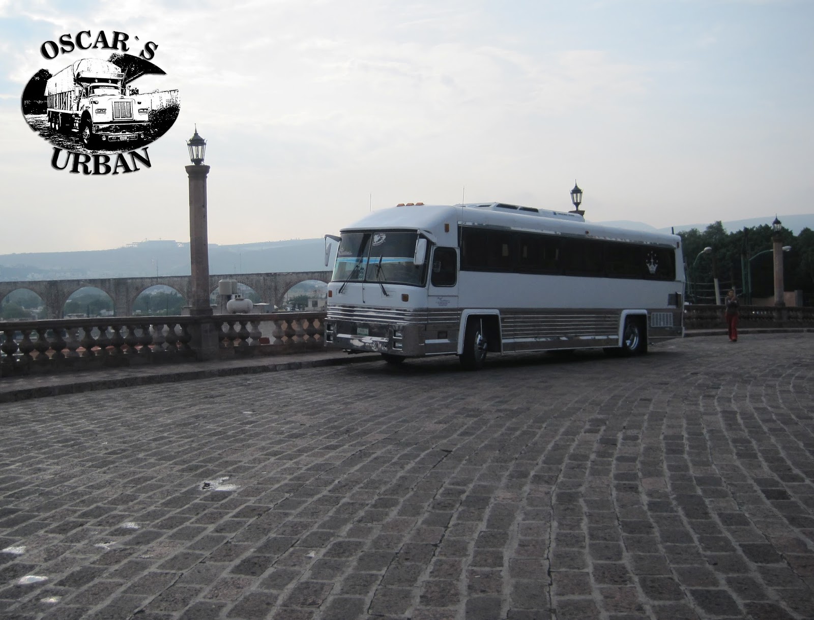 Gente Creativa Club: OISA HALCON Royal Caribbeans ´´500´´