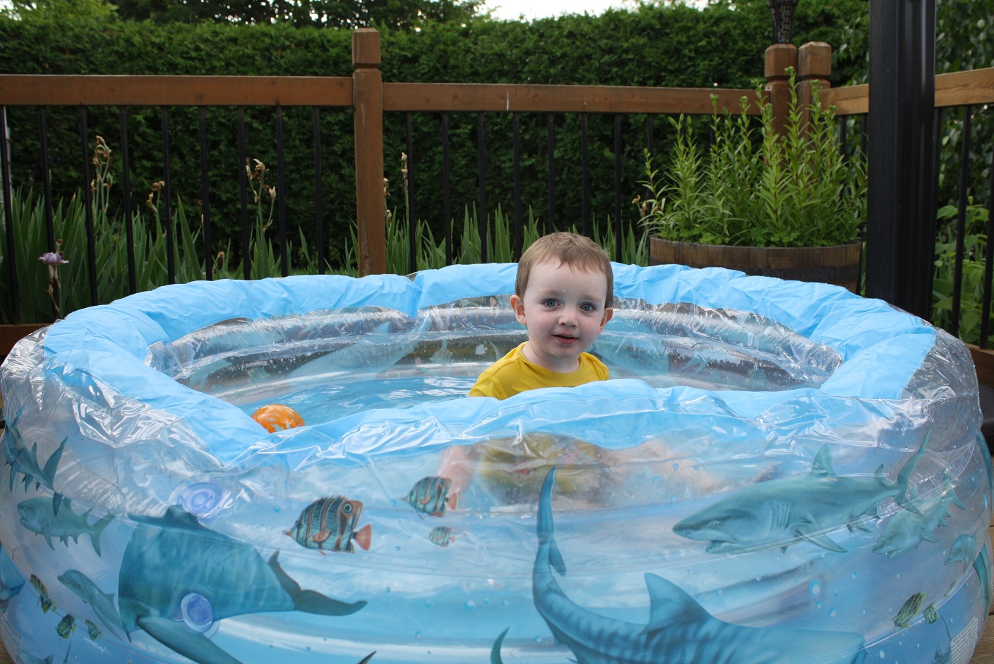 Of Petals and Wool: SUMMERTIME FUN IN THE BACKYARD