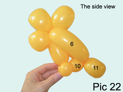 CLASSICAL: Balloon bird