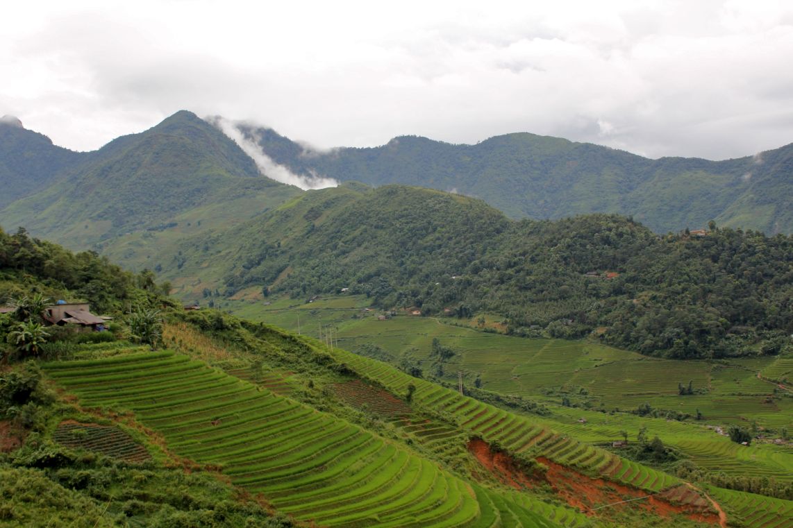 Bob McKerrow - Wayfarer: July 2012