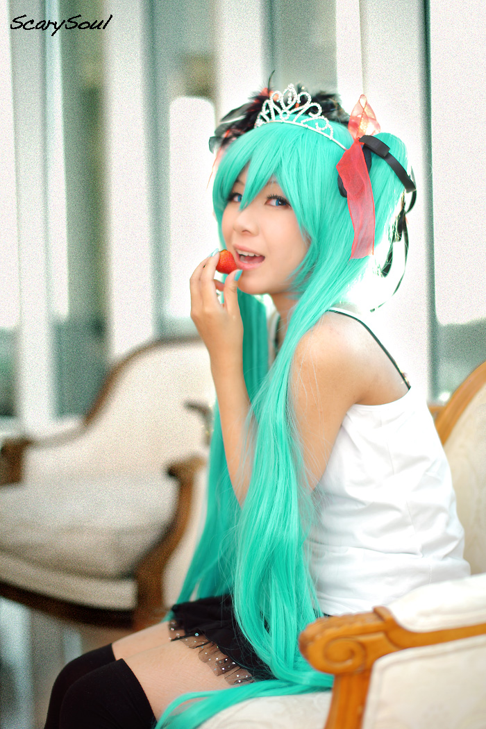 The Quest of The Photographer Wannabe: Kaito x Miku ~World is Mine ...