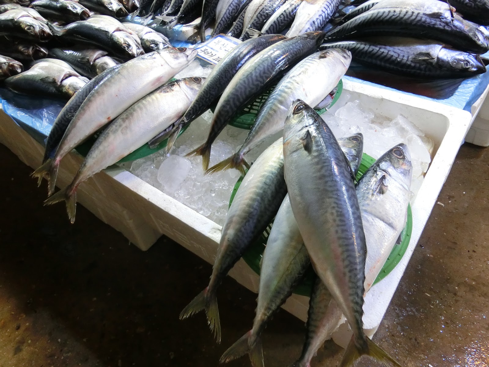 Nau speak: Korea: Noryangjin Old Fish market part two