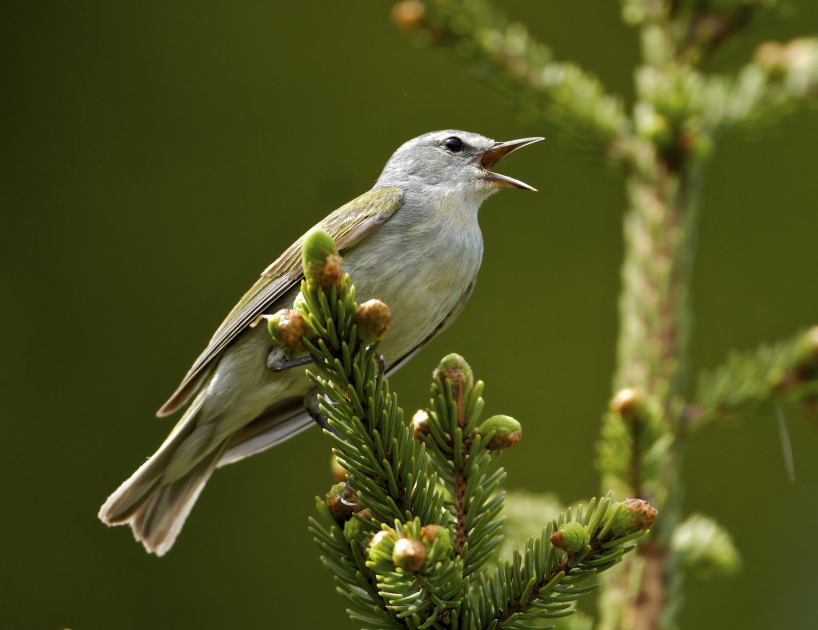 EASTERN CANADA JOURNEY OF DISCOVERY: LABRADOR (PART 2)