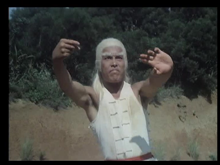 SHAOLIN'S BORN INVINCIBLE a.k.a BORN INVINCIBLE