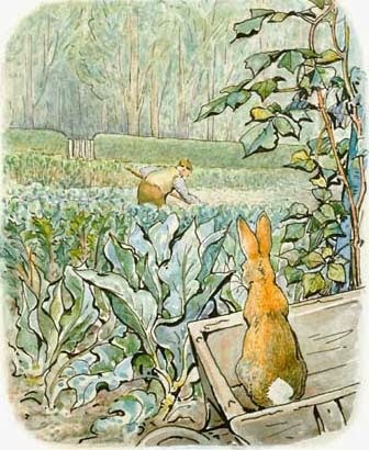 Summer of Illustration : Beatrix Potter, English author, Illustrator ...
