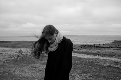 Dandelions, Butterflies