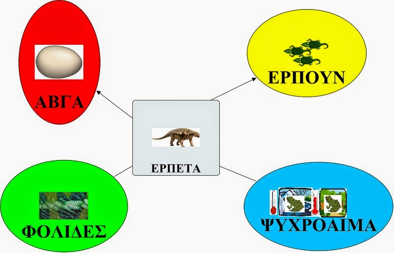 Πυθαγόρειο Νηπιαγωγείο: ΖΩΑ