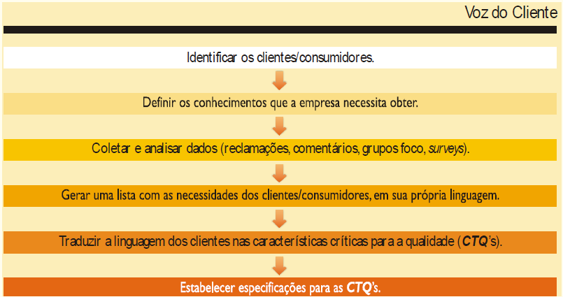 O Aprendiz da Qualidade: A Voz do Cliente