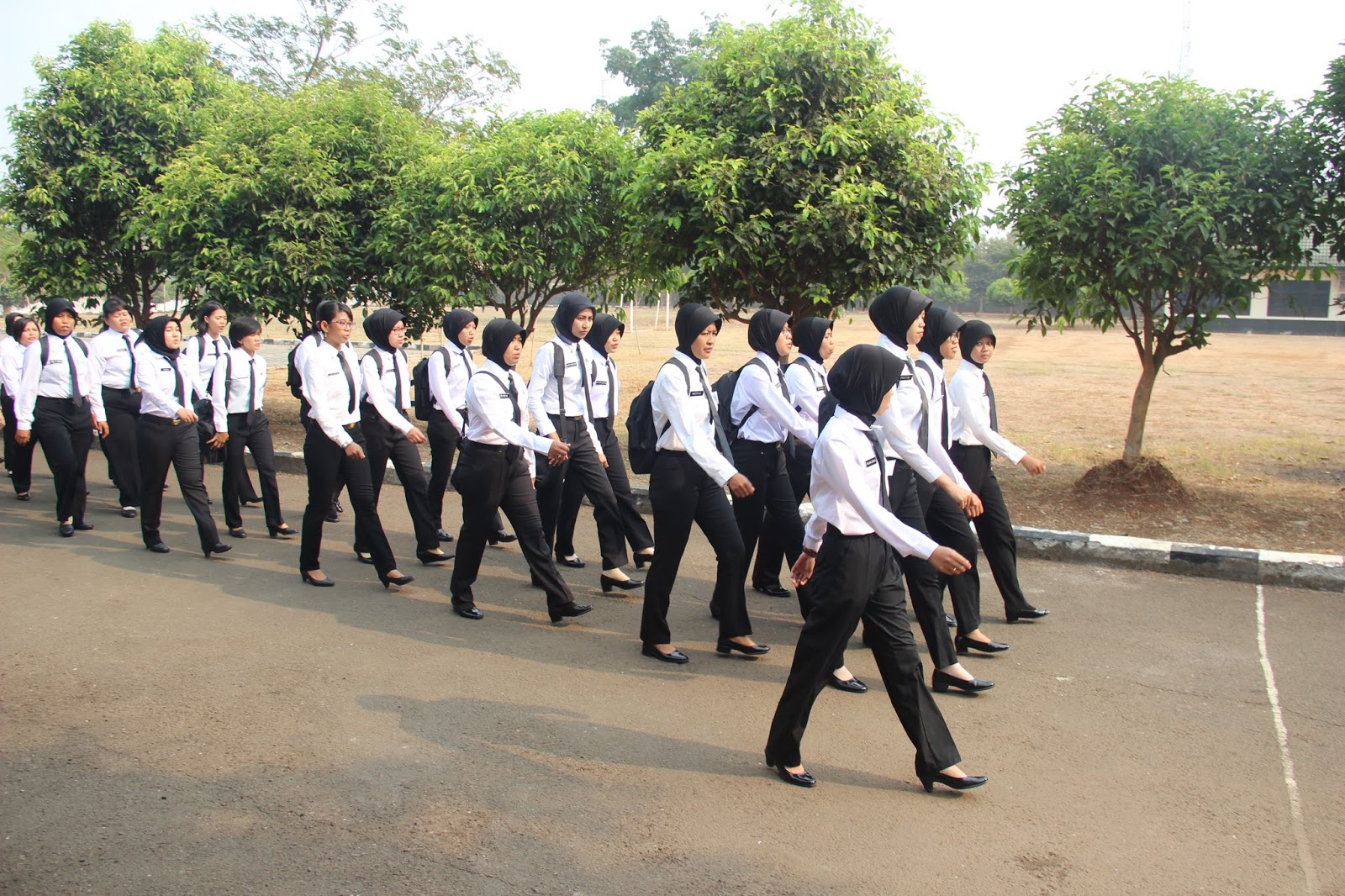 SESKO TNI: LATPRAJAB DAN LATSARMIL CPNS TA 2015 MABES TNI DAN MABES ...