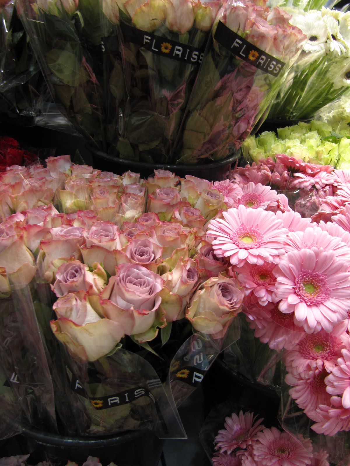 Floriss AS: Floriss Sjøsiden i nye lokaler