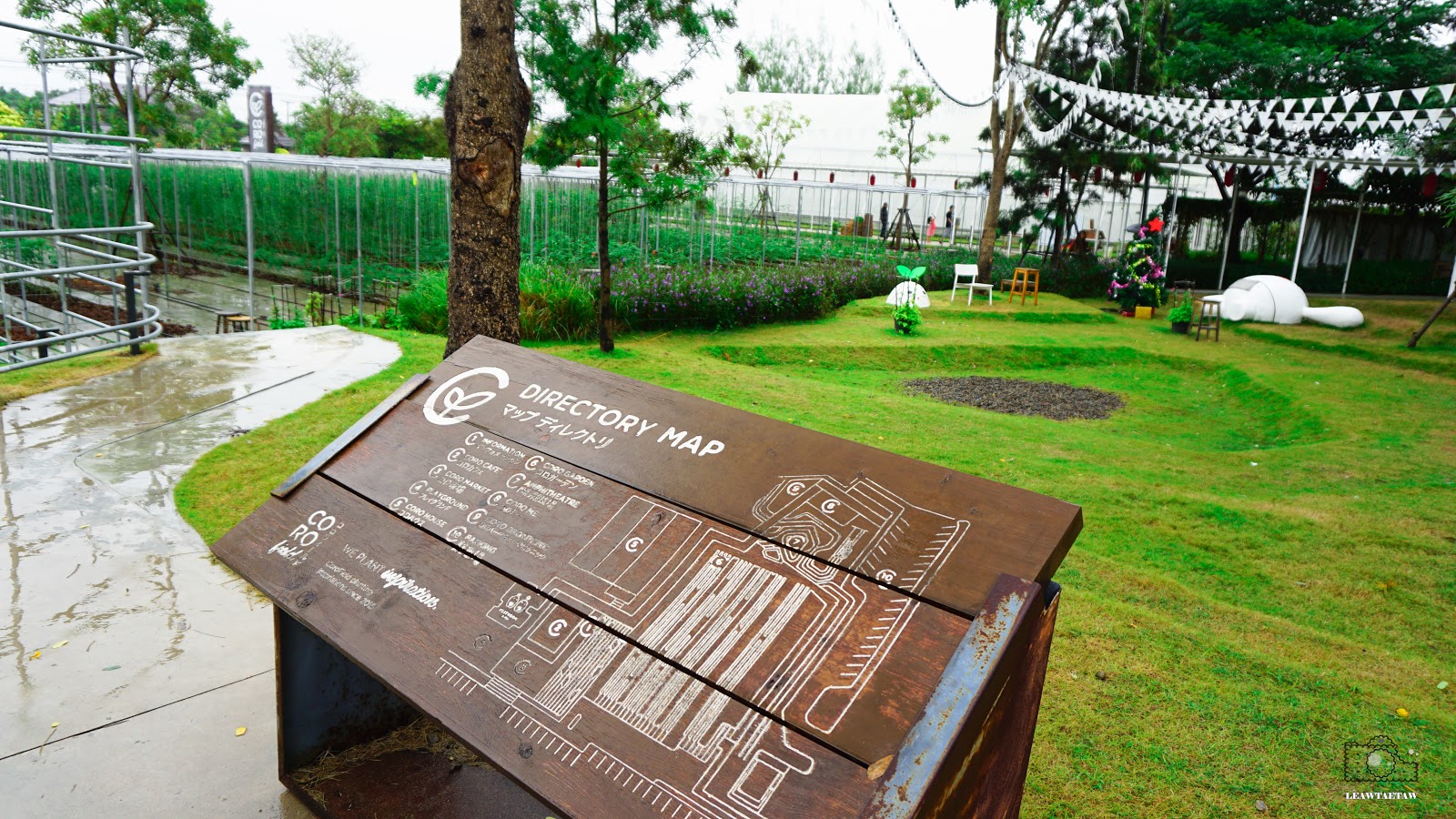 [รีวิว] CORO FIELD ความสุขแบบเรียบง่าย ปล่อยชีวิตไปตามจังหวะแบบช้าๆ กับ ...