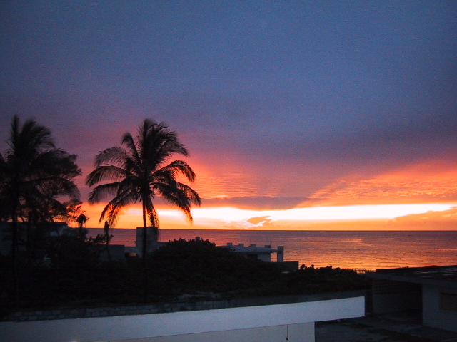 Tourism in real mexico - english version: chelem yucatán