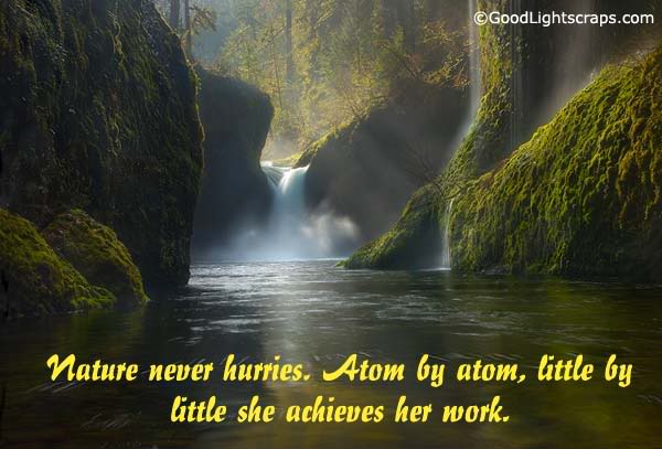 wallpaper zh: Nature Pictures