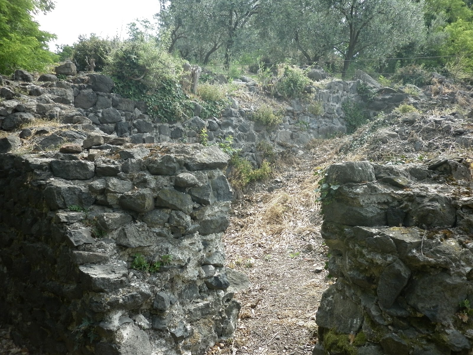 L'antichità intorno a noi: Insediamento di Terrossa ( Roncà VR )