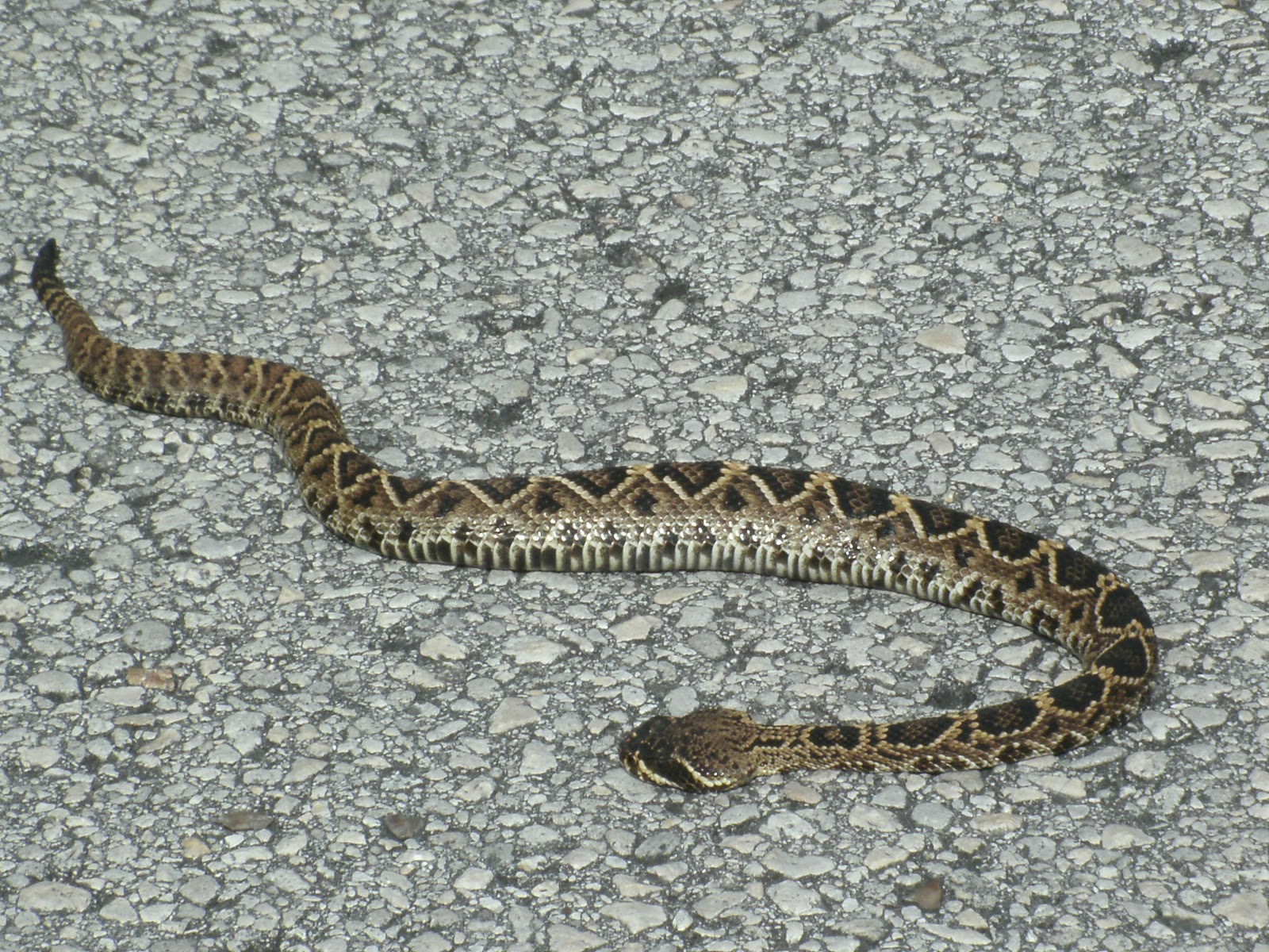 Lu and B: Two With Nature