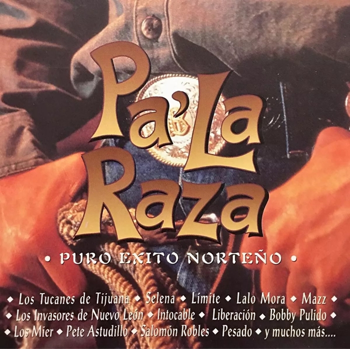 EL RECUERDO DE LA MUSICA GRUPERA: PA LA RAZA - PURO EXITO NORTEÑO