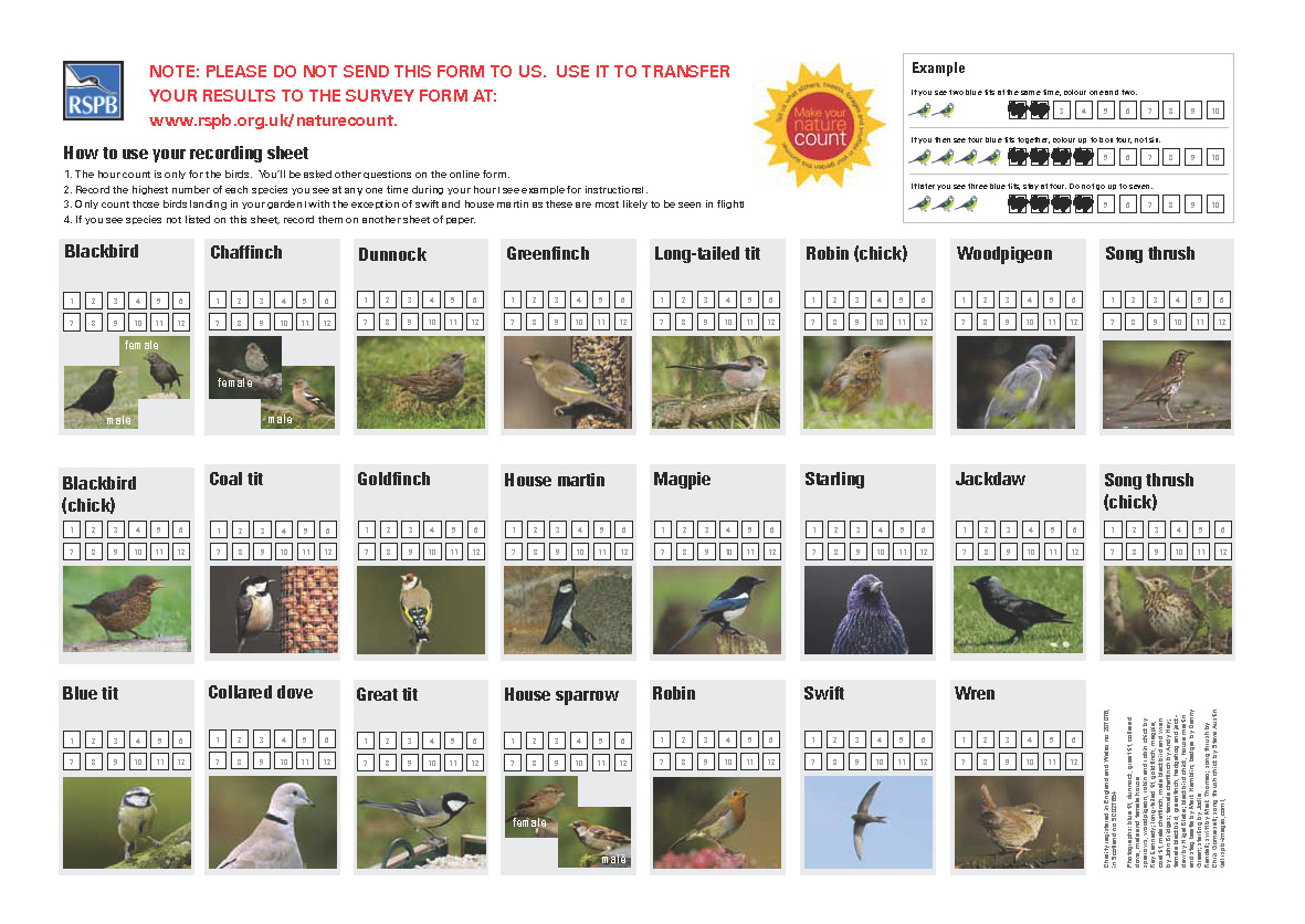 Welcome to the Green Heart Dens blog page.......: RSPB Make Your Nature ...