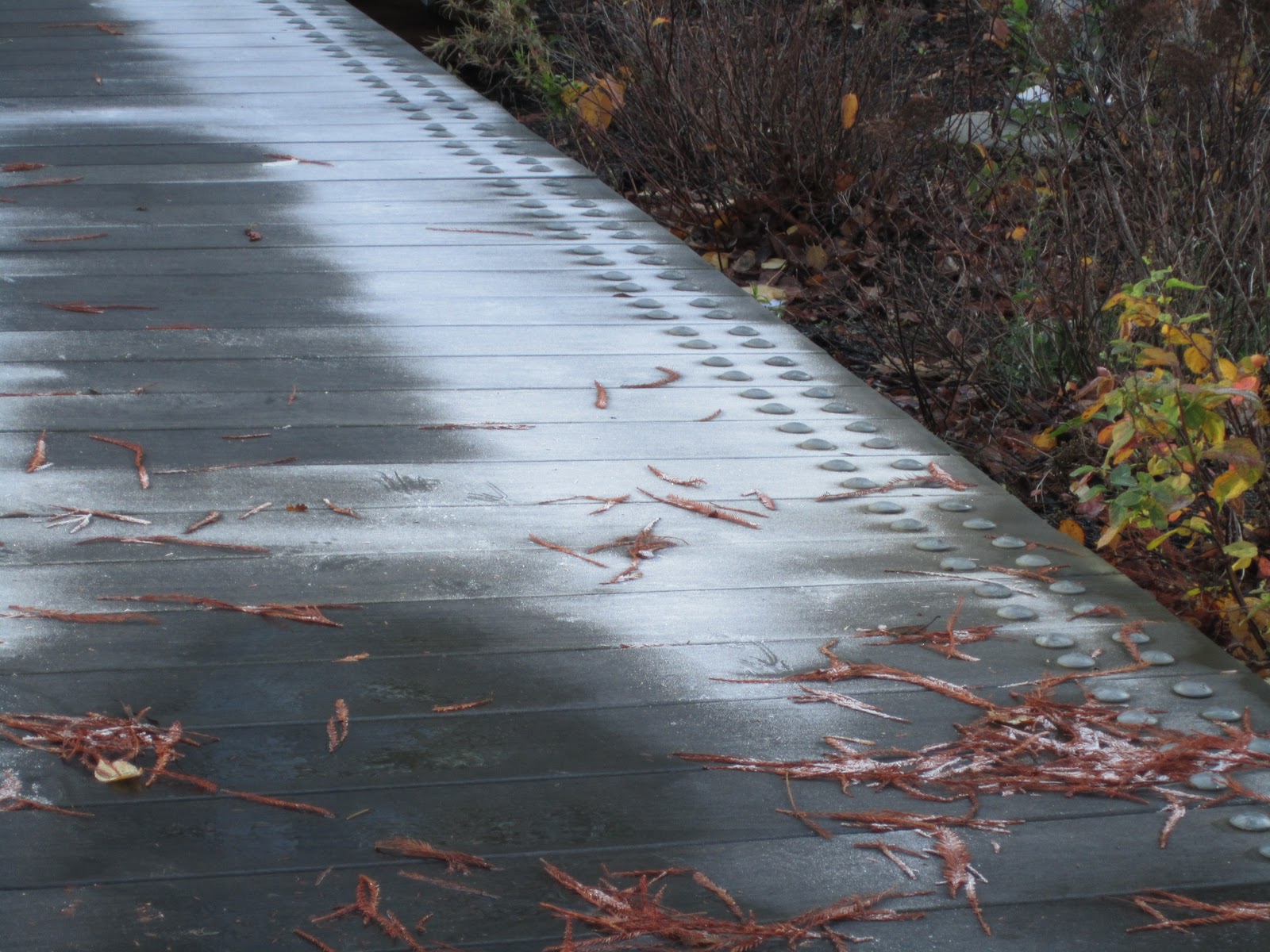 South Waterfront blog: Caution: Slippery Walkways