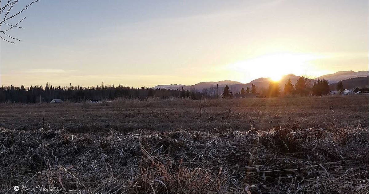Northern Interior British Columbia: Golden Sunset In Houston British ...