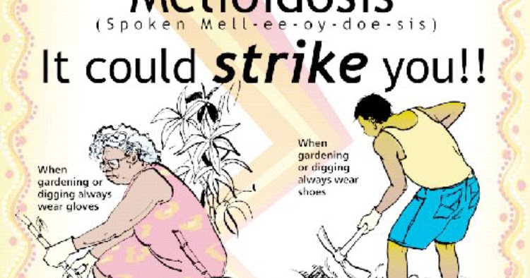 BERSAMA KITA KONGSIKAN KEBAIKAN SHAKLEE: KENALI PENYAKIT MELIOIDOSIS ...