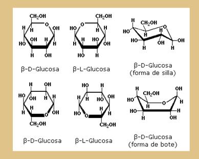 Química: 2. Carbohidratos, formas cíclicas