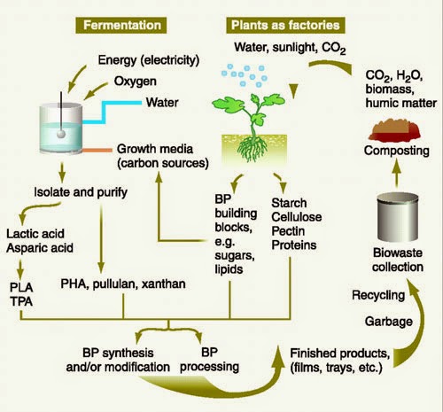 Write: Plastik Biodegradable