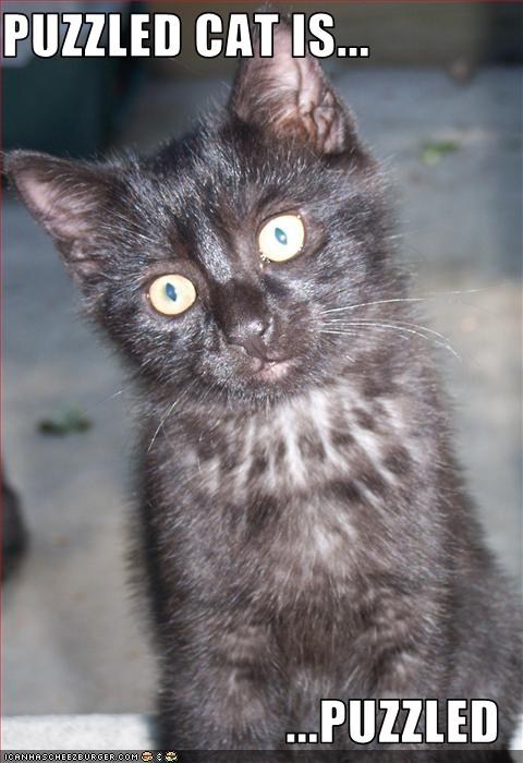 My Migraine Memoirs: July 2013