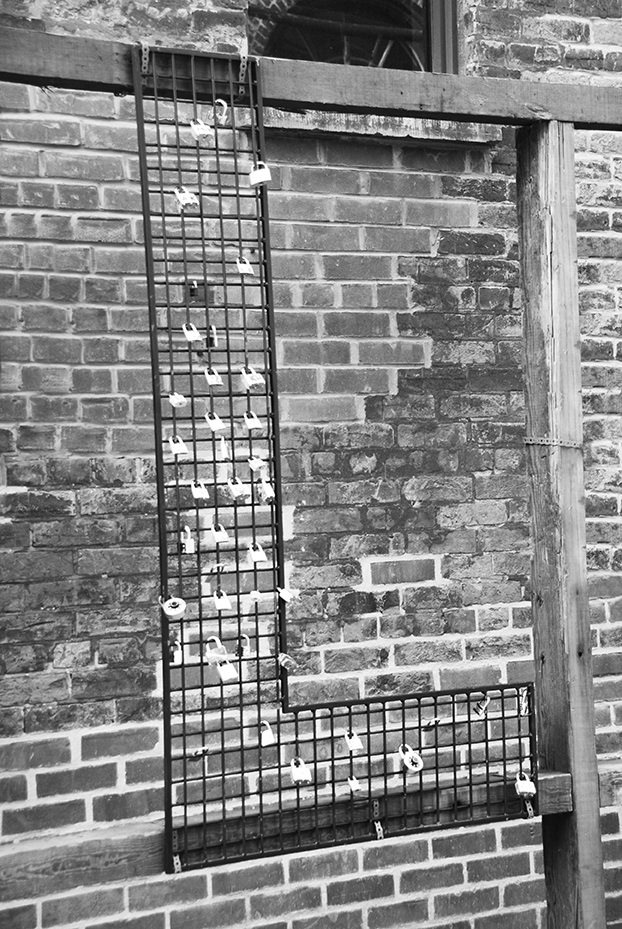 Letter L Photography