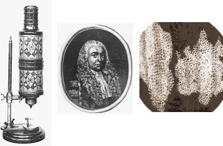 Biocel: Avances Tecnológicos