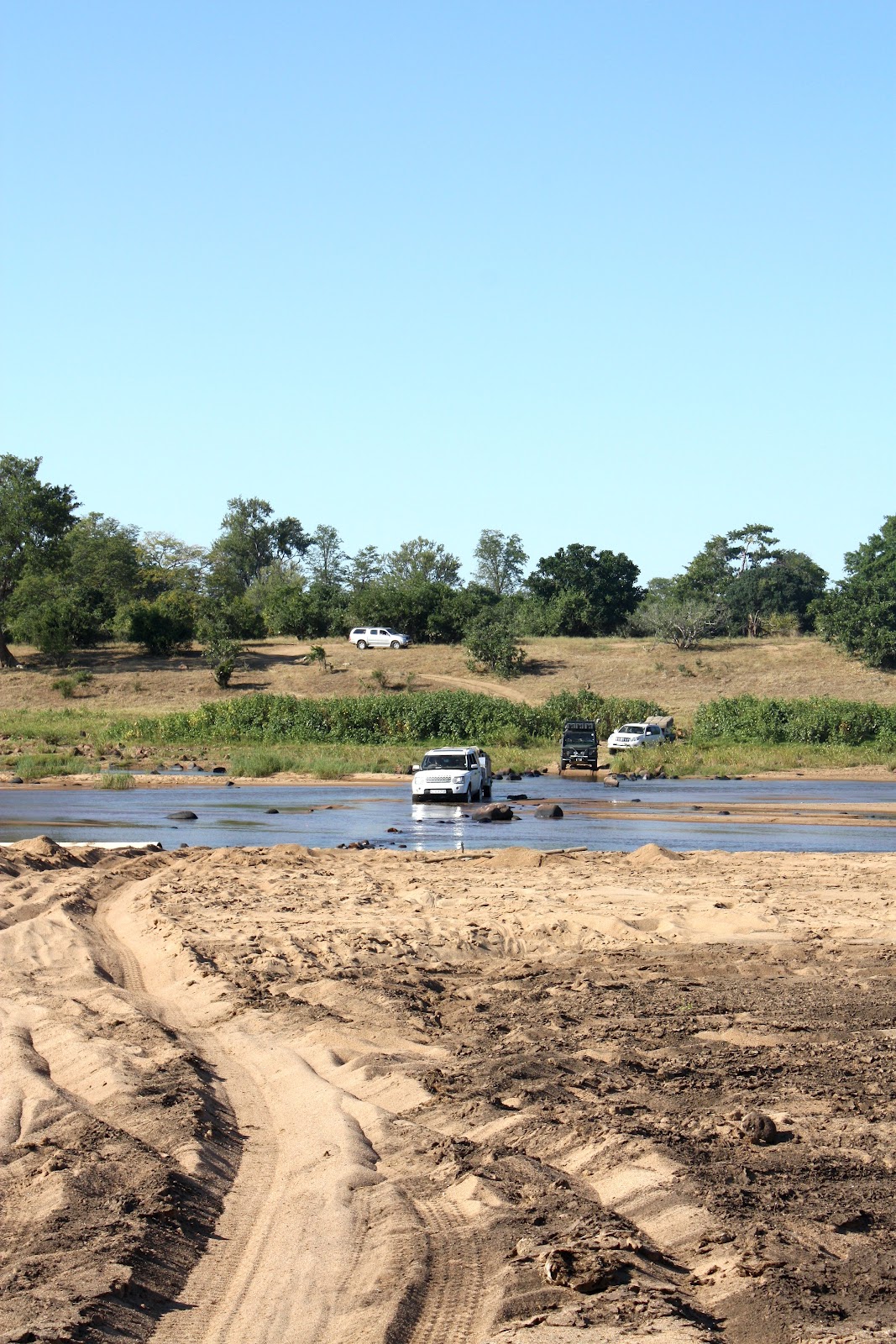 Phillip Sprules' Blog!: Gonarezhou trip - April/May 2012