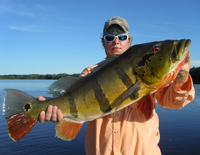 Peacock Bass Fishing Report – Rio Negro River | International Fishing ...