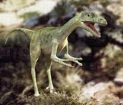 Info Dinosaurus: Compsognathus