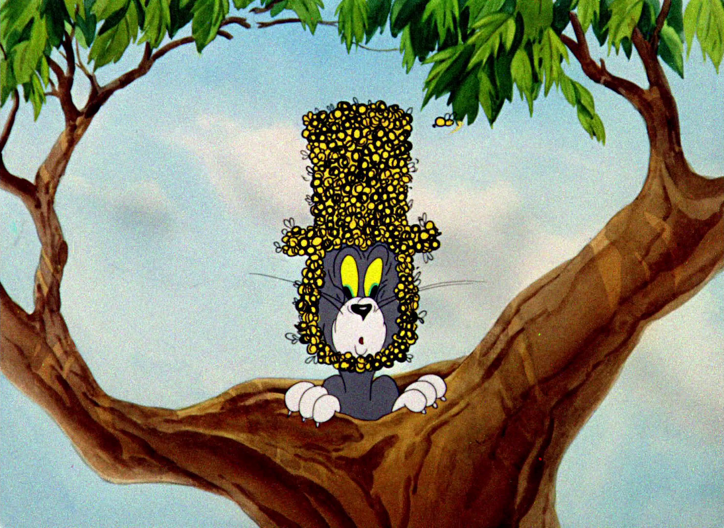 Tom & Jerry Pictures: "Tee for Two"