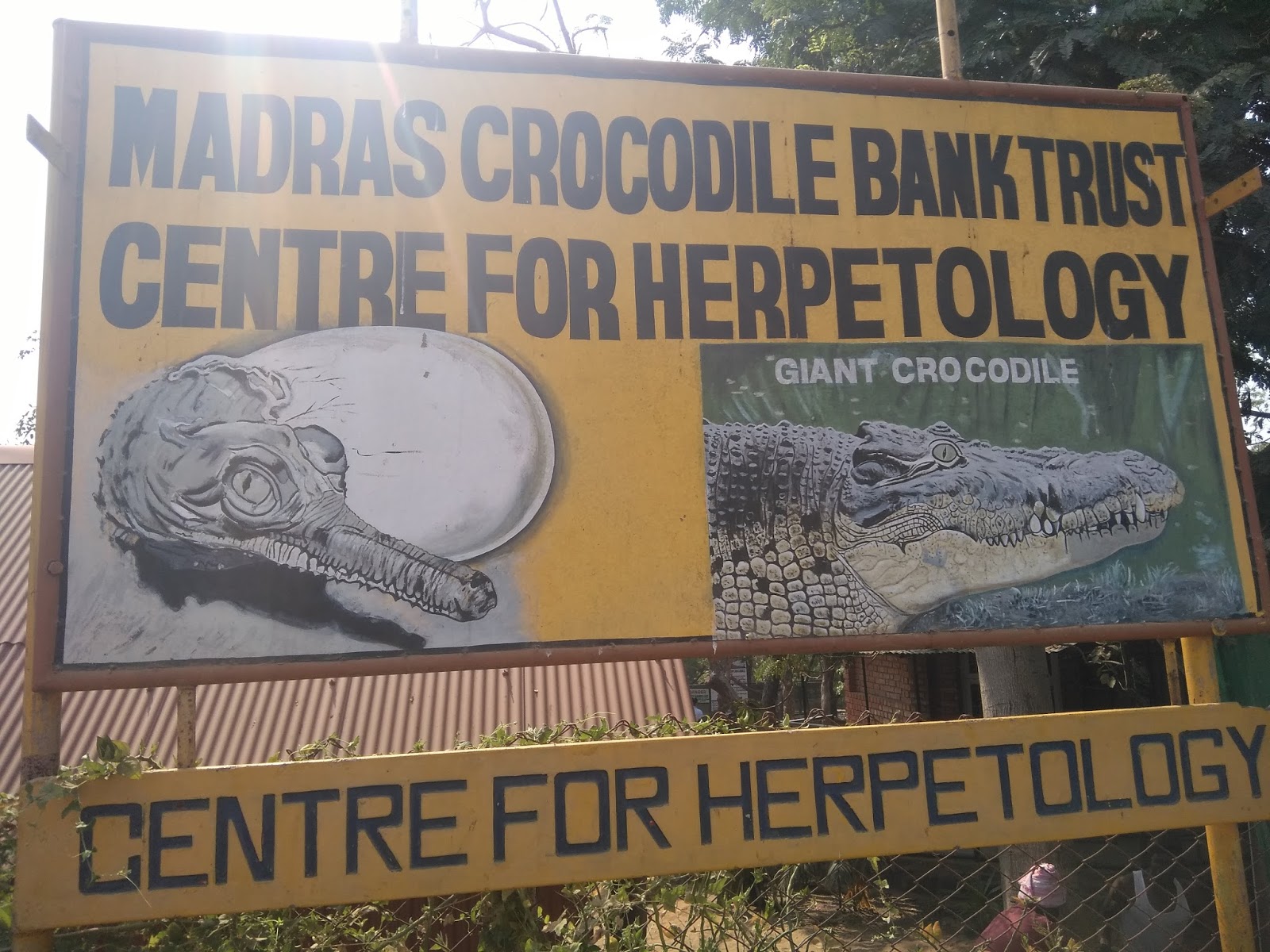 Madras Crocodile Bank