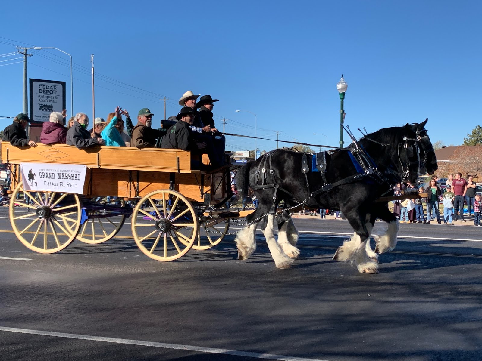 Good Knight Times: Sheep Parade - Cedar City Livestock and Heritage ...