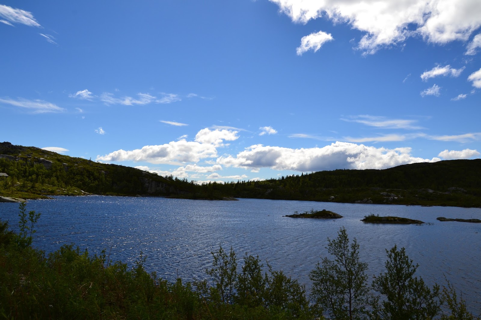 Rundtur Tempelseter- Fetjenn - Istjenn - Tempelseter