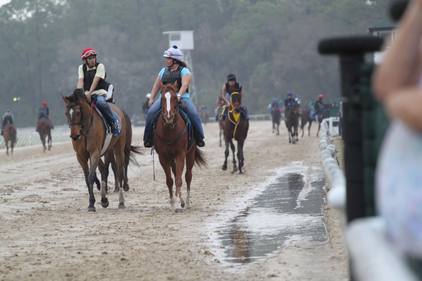 Springstone Horses: Mickey Mouse and his Influence on New Year's ...