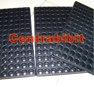 Tray Semay atau Pot Tray, Mengetahui Harga, Keuntungan, dan Kekurangannya