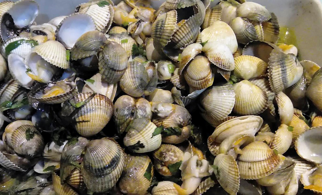 Outras Comidas: Berbigão (Cerastoderma edule)