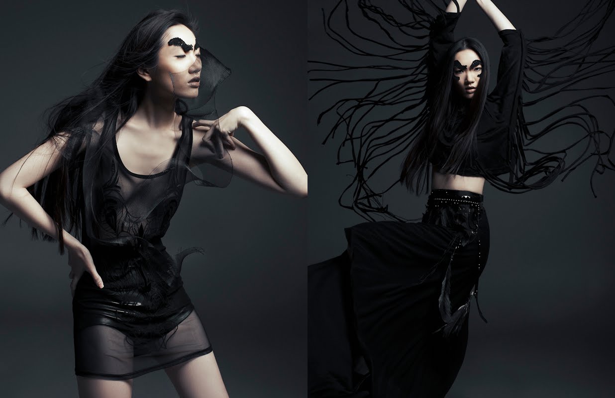 BJ PASCUAL: A Raven Named Nevermore