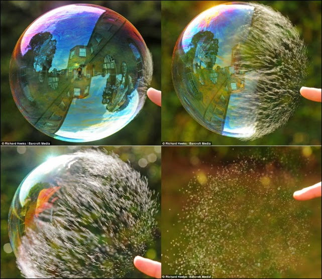 Robinson-Solutions Professional Window Cleaning: Bursting The Bubble ...