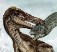 Rare Resources: Austroraptor