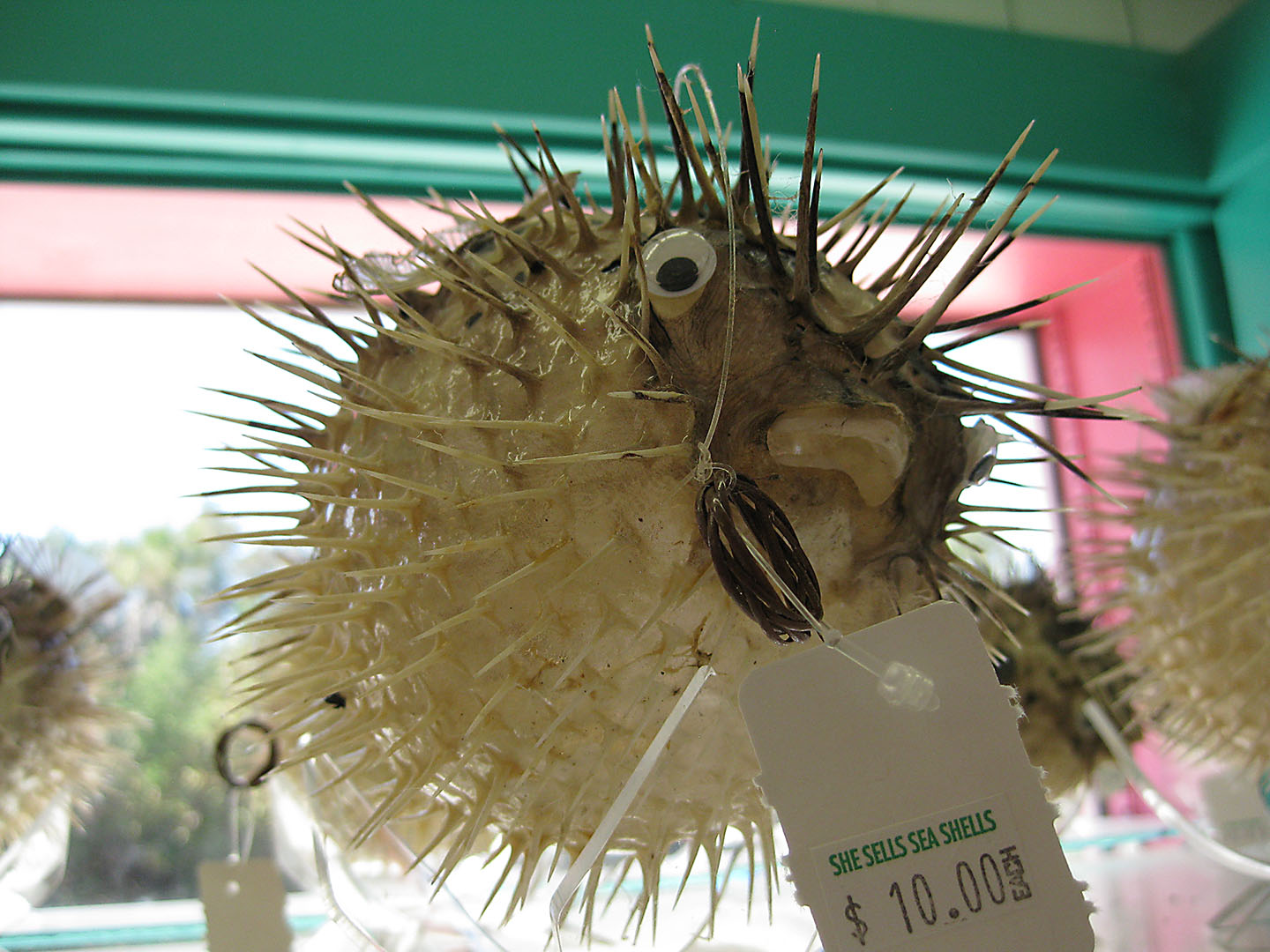 Sanibel Island - Lighthouse Beach and the Seashell Museum