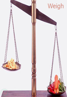 Domestic Animals Name Meaning & Image | Necessary Vocabulary ...