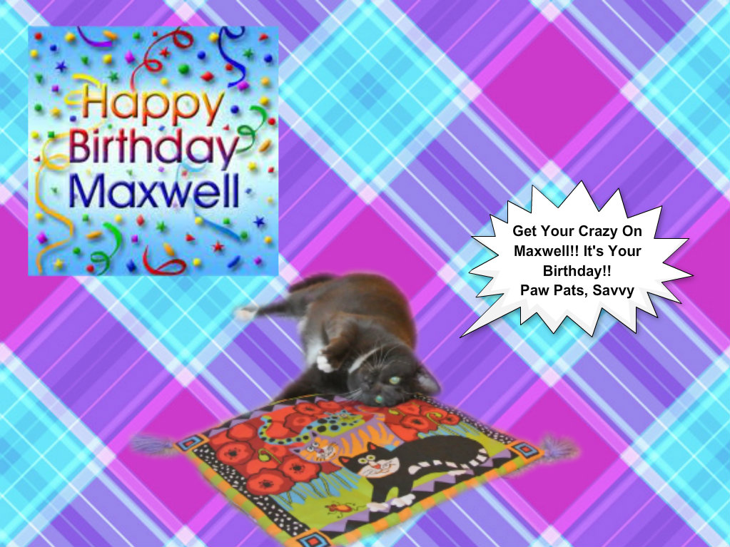 A Tonk's Tail... err, Tale...: Happy Birthday Maxwell!