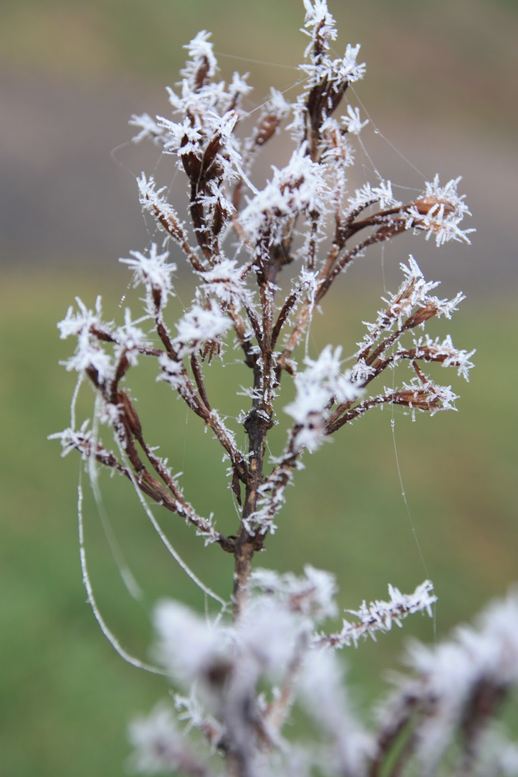 Les Chemins Perdus: un hiver complètement givré