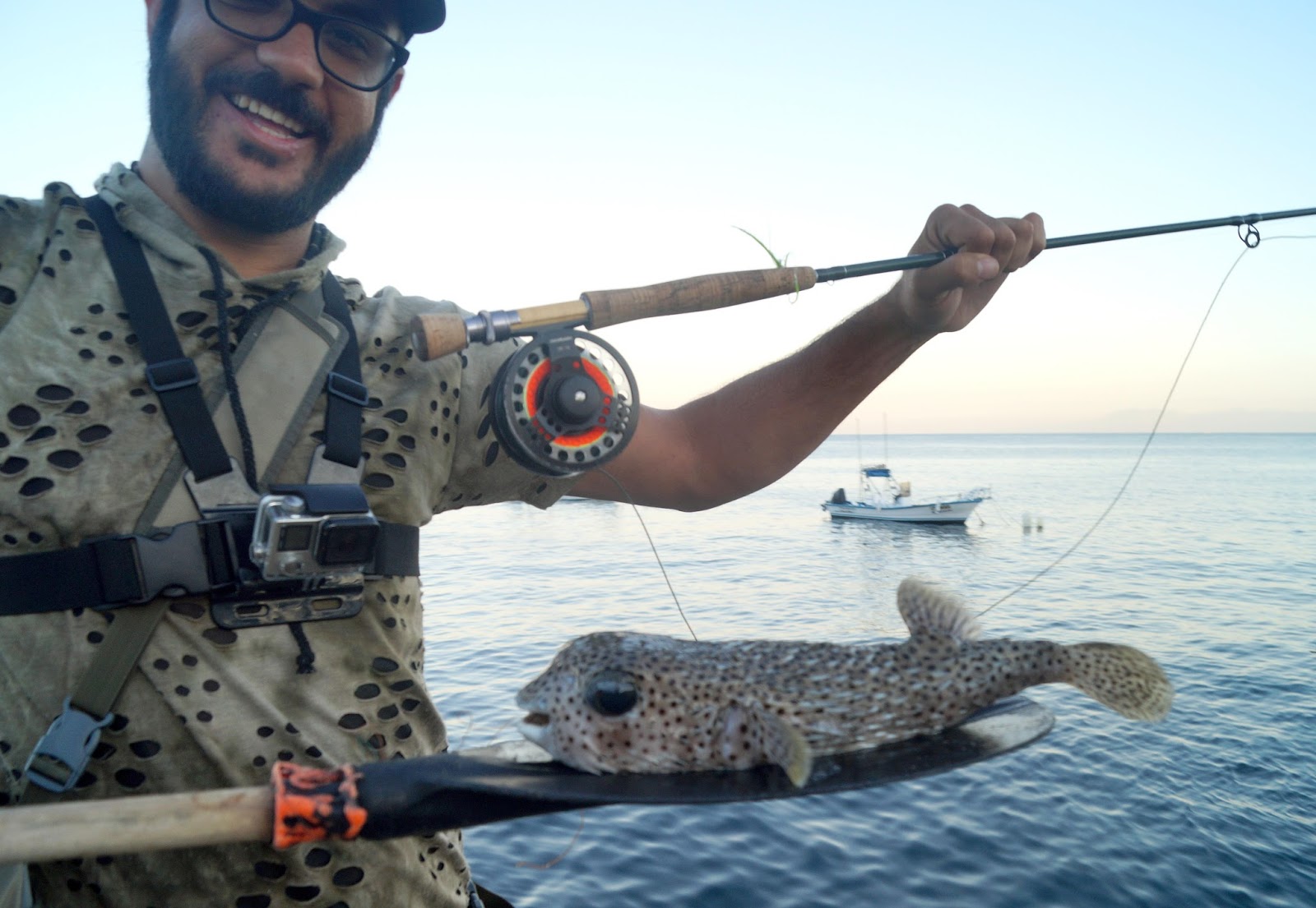 Puffer fish on the fly fishing