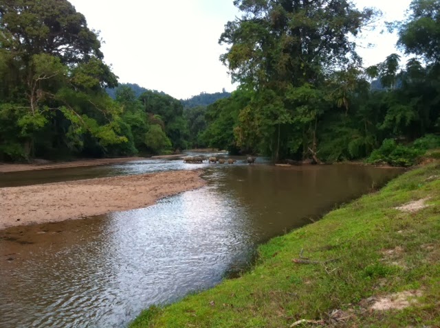 Bits and Pieces: Back To Nature in Kg Pasir Raja, Dungun, Terengganu