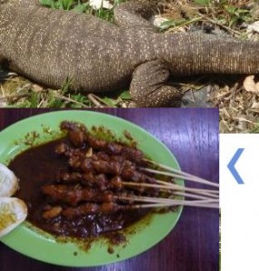 Herman's Blog: Anehnya Indonesiaku, dari Belalang Goreng sampai Tambelo ...