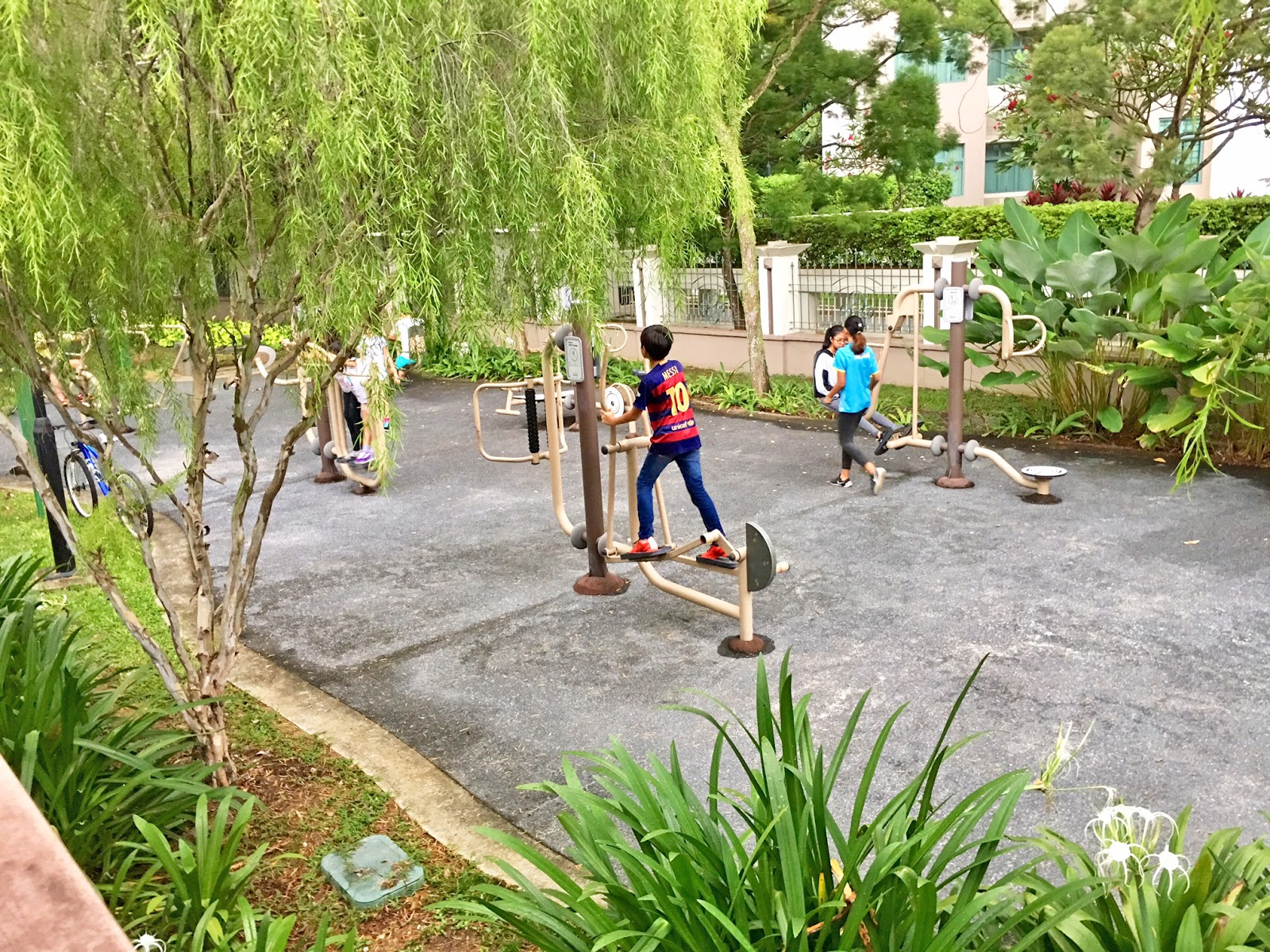 Running Route along Alexandra Park Connector